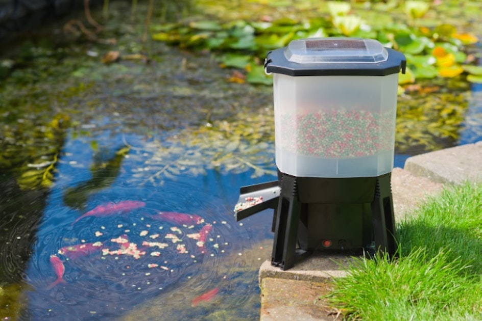 Ubbink Koi Feeder - autom. Solar-Fischfutter-Spender kaufen